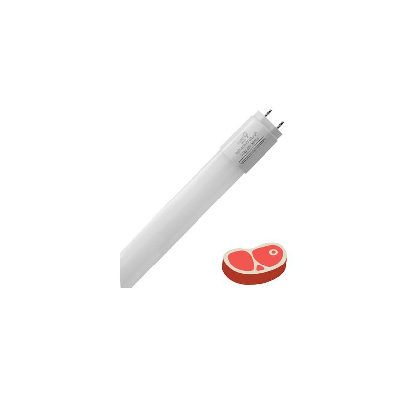 FL-LED T8- 1200 20W MEAT G13 (220V - 240V, 20W, 1200mm) - светодиодная ...