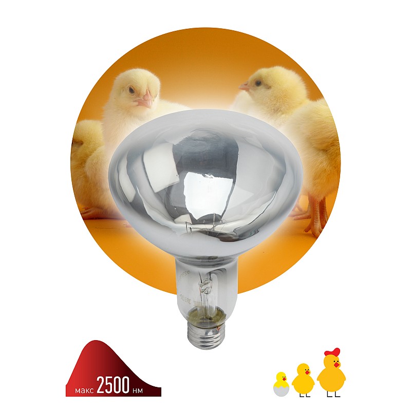 ИКЗ 220-250 R127 E27 Инфракрасная лампа ЭРА, Б0042991